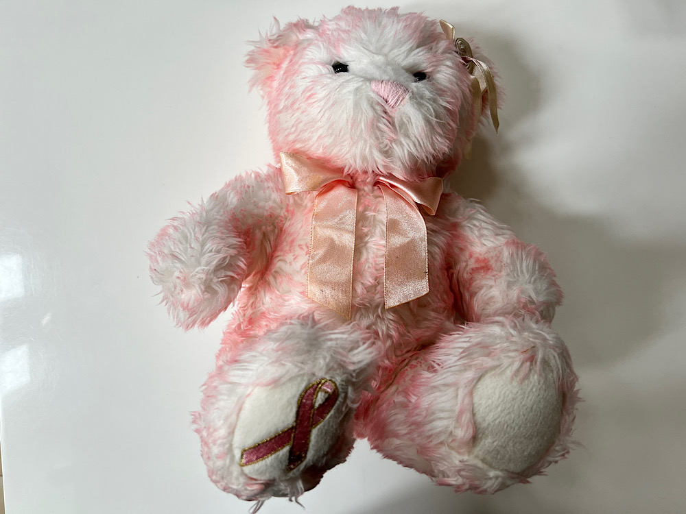 Build-A-Bear Workshop Teddy Bear | Personal Shopper Japan.com -Japan ...